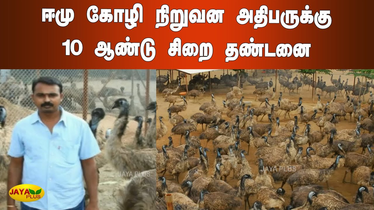 ஈமு கோழி நிறுவன அதிபருக்கு 10 ஆண்டு சிறை தண்டனை | Erode | Emu Poultry ...