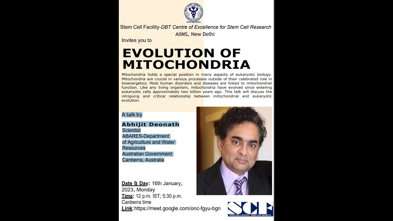 EVOLUTION OF MITOCHONDRIA - YouTube