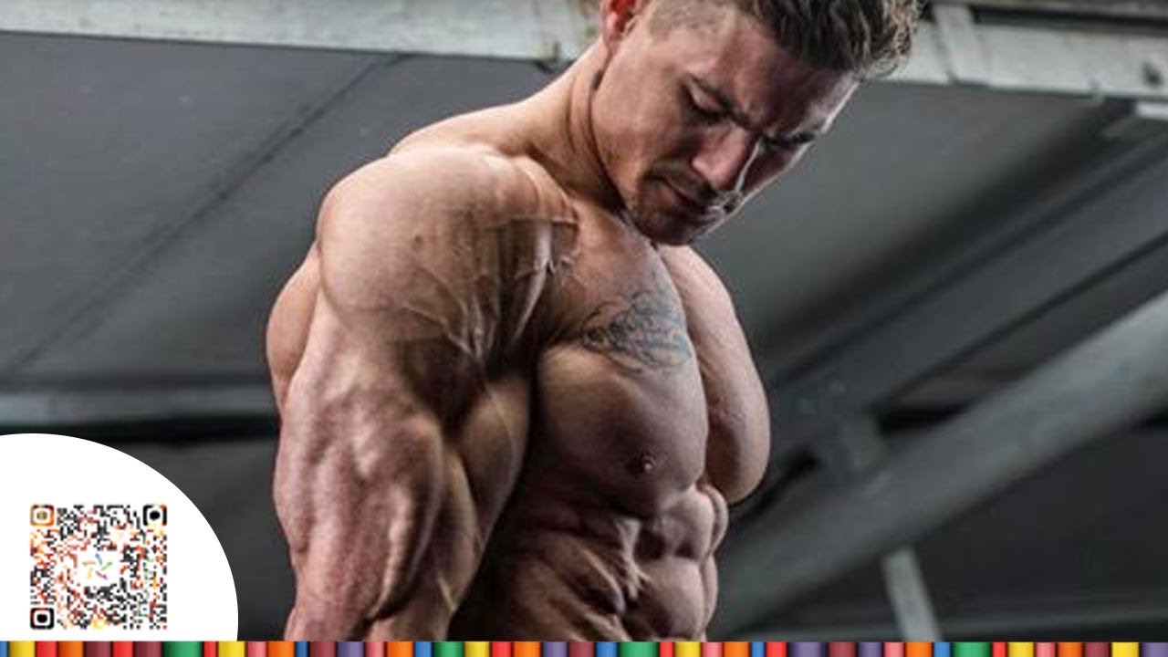 THE PERFECT TRAINING - Aesthetic Fitness Motivation - YouTube