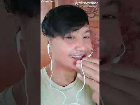 seald with a kiss