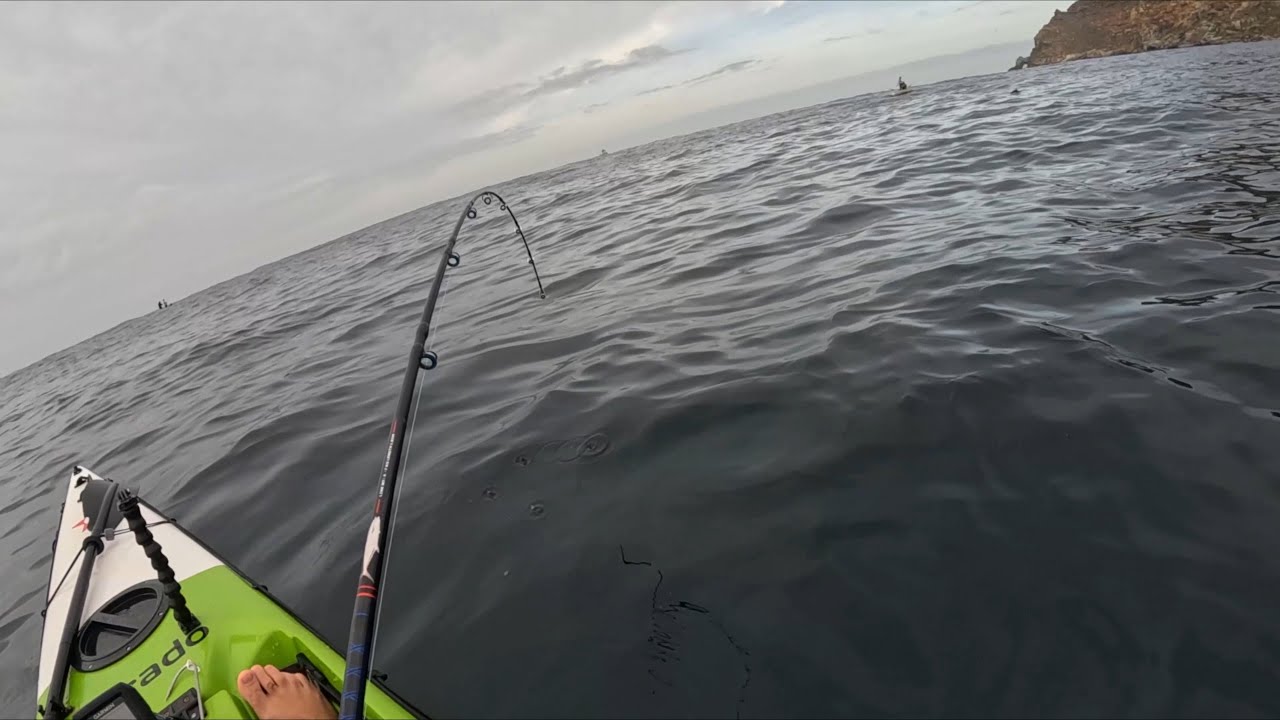 Kayak Fishing for Yellowtail at Rooikrans, Cape Point - YouTube