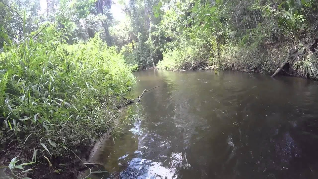 Howell Creek Jungle Hike - Part V - YouTube