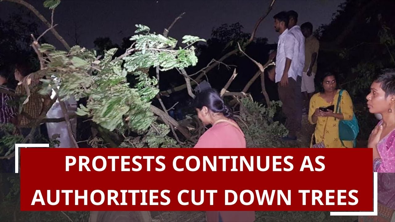 Aarey Protest: Protests continues as authorities cut down trees - YouTube