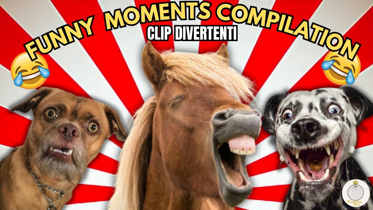 Best Funny Clips Compilation: Animals, Kids & Epic Fails! 😂 |Clip ...