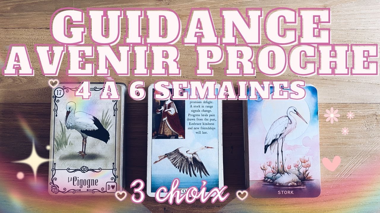 🌼AVENIR PROCHE 4 à 6 SEMAINES 🌼 INTEMPOREL 🍀 3 CHOIX - YouTube