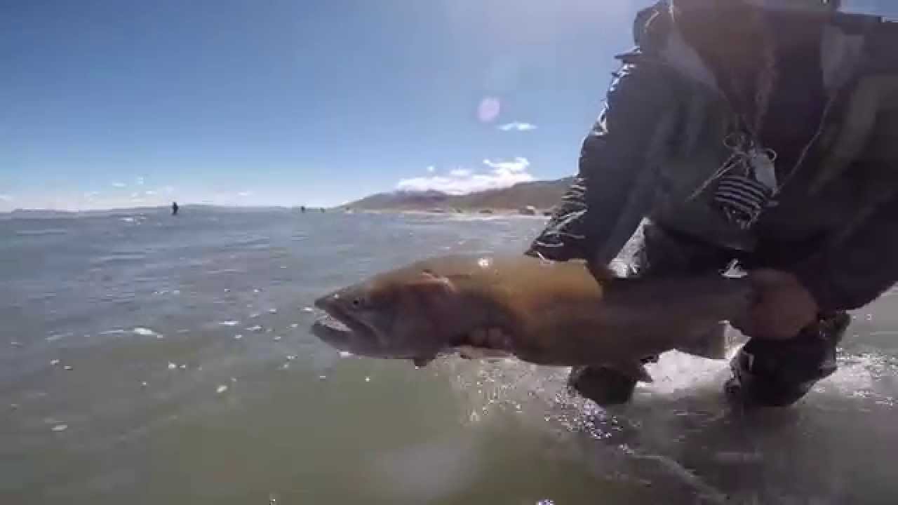 Pyramid Lake Fly Fishing - Standing On Ladders - YouTube