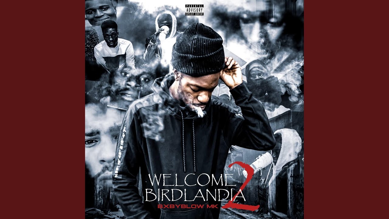 BIRDZ VS THE WORLD (intro) - YouTube