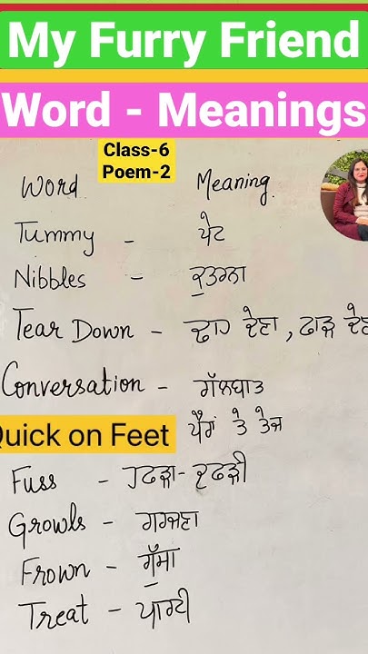 Word Meanings l Poem-My Furry Friend l Class-6 l PSEB l #myfurryfriend ...