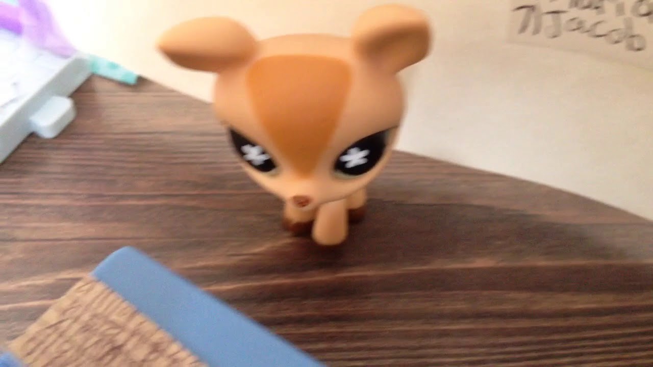 LPS Snow day at school! - YouTube