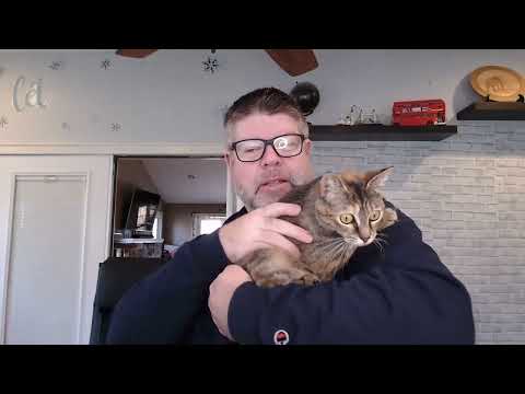 Angelica the Kitten with bloopers