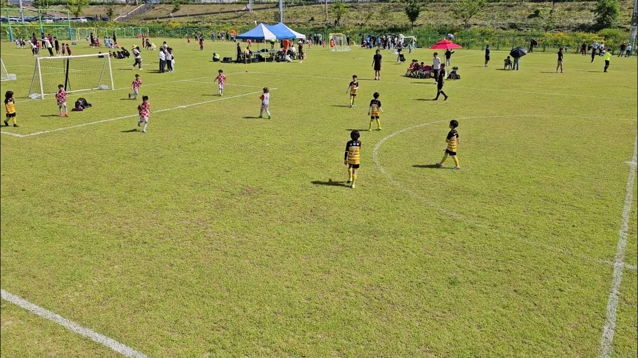 240602_대전 YNA U8 vs. 이타스 FC U8_금강컵 예선 3경기 - YouTube