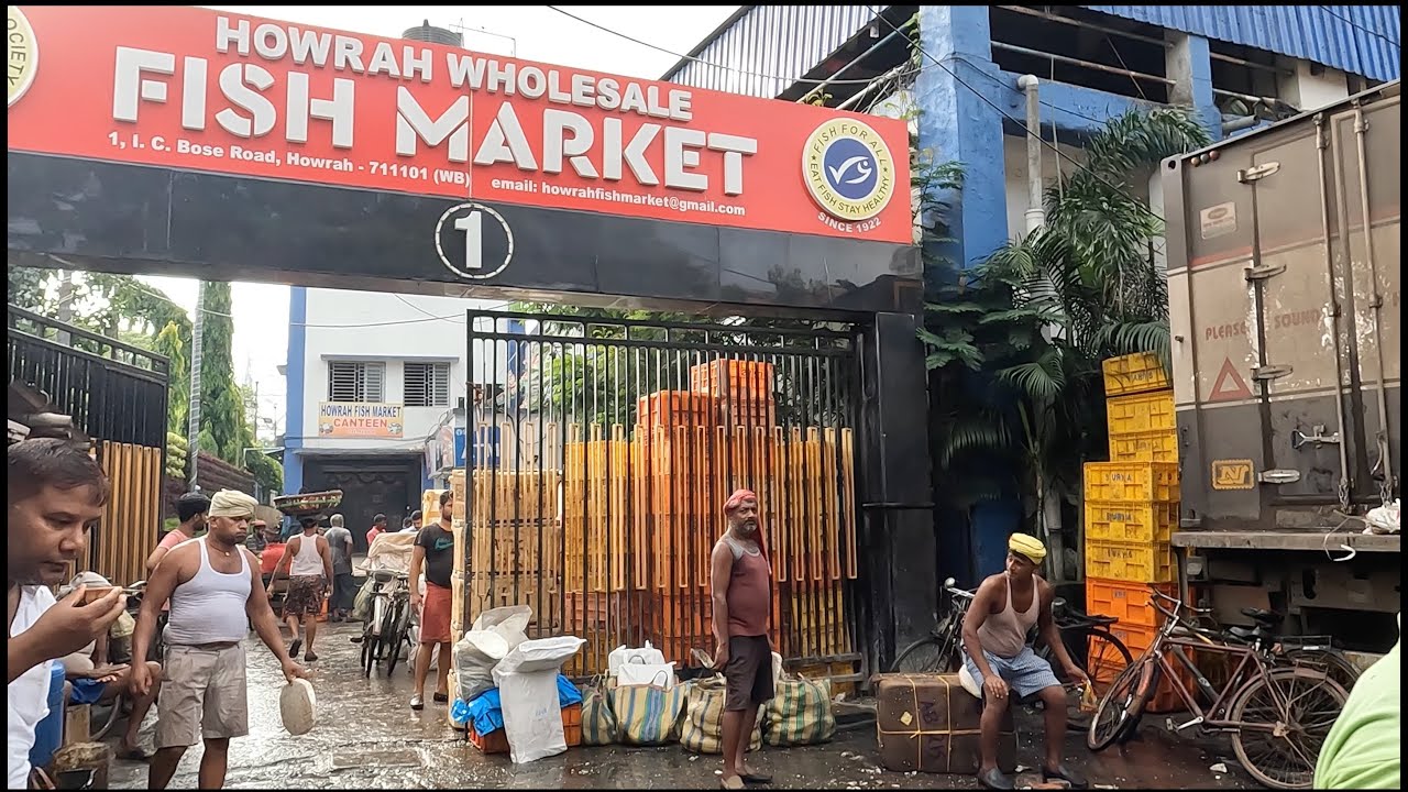 Kolkata (India) - Howrah Wholesale Fish Market tour. #howrah # ...