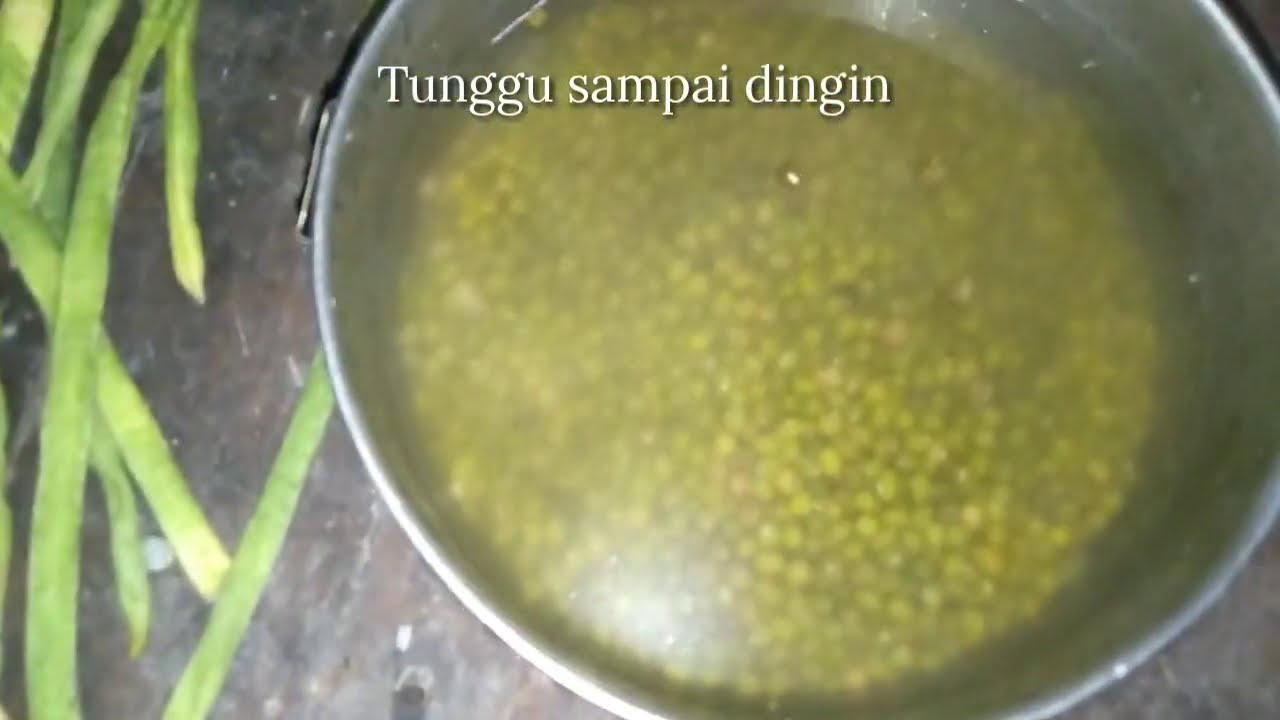 Cara mudah membuat toge sendiri di rumah||terbaru||2020 - YouTube