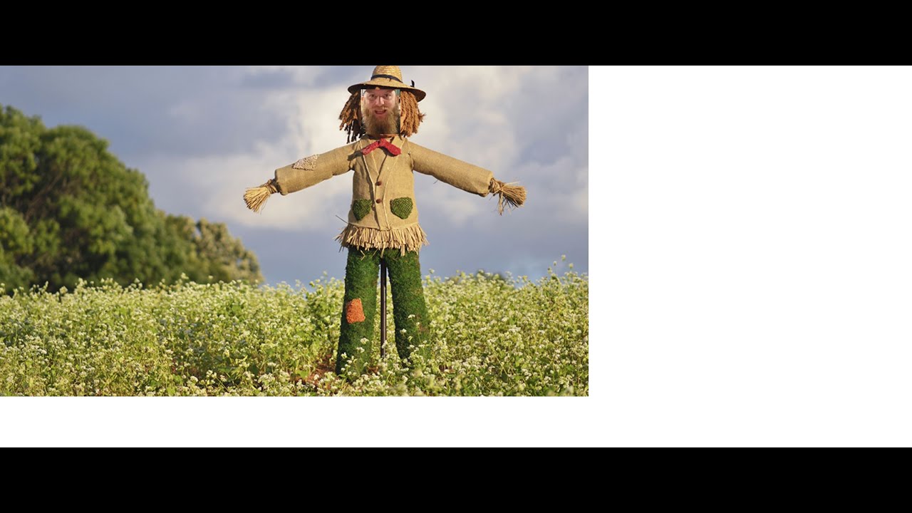 Fifth Column Fallacies: Scarecrow Beau Attacks the Strawman - YouTube