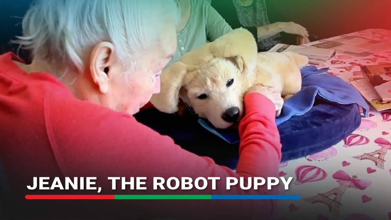 Meet 'Jeanie,' a lifelike robotic puppy designed to comfort seniors ...