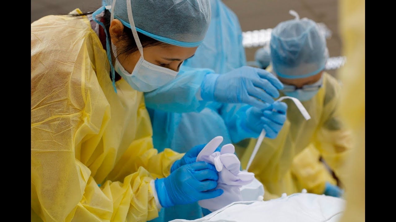 Silent Mentor Program by University of Malaya_21st Silent Mentor ...