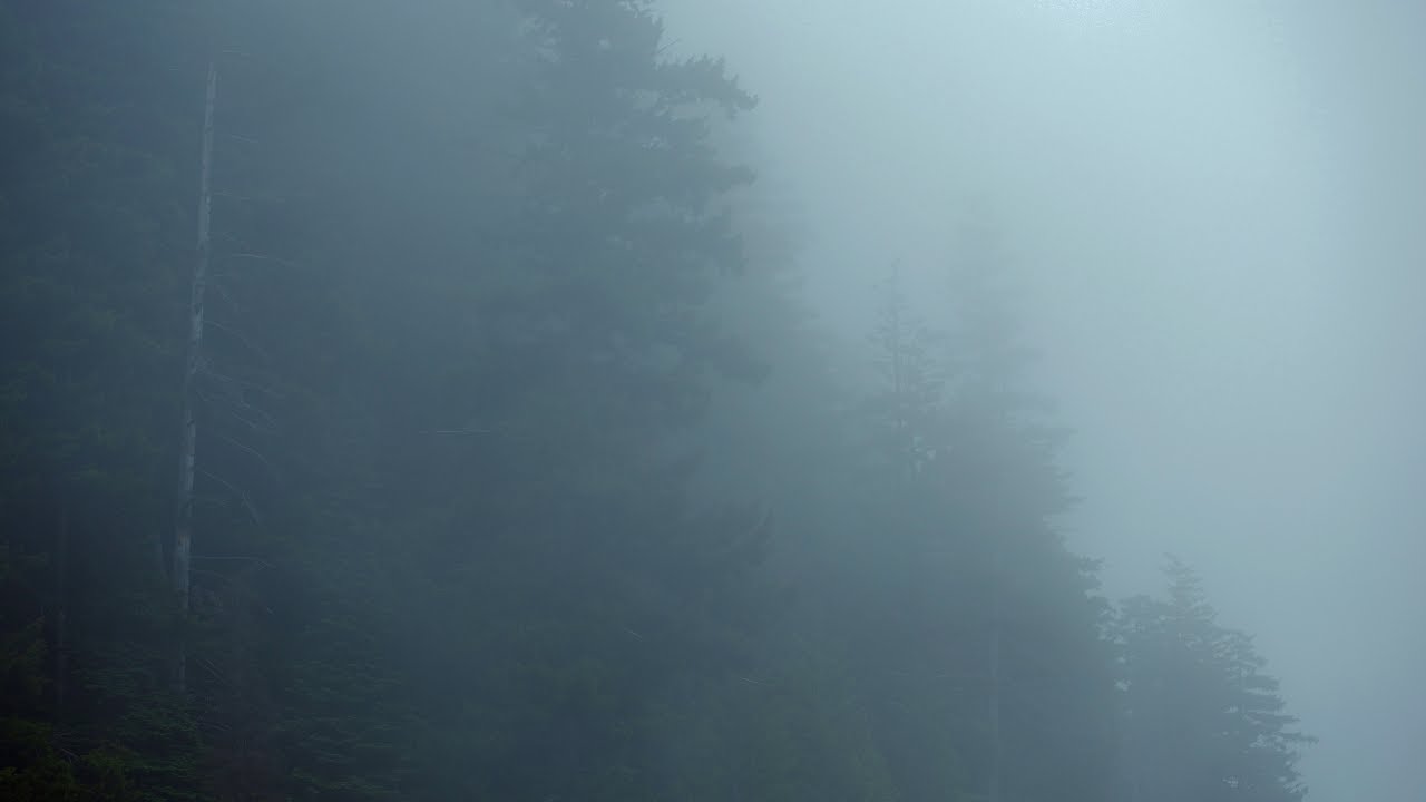 Heavy Rain in Forks, Washington (Sleep Sounds) - YouTube