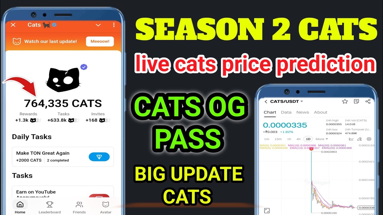cats bitget price prediction | season 2 airdrop cats | cats og pass ...