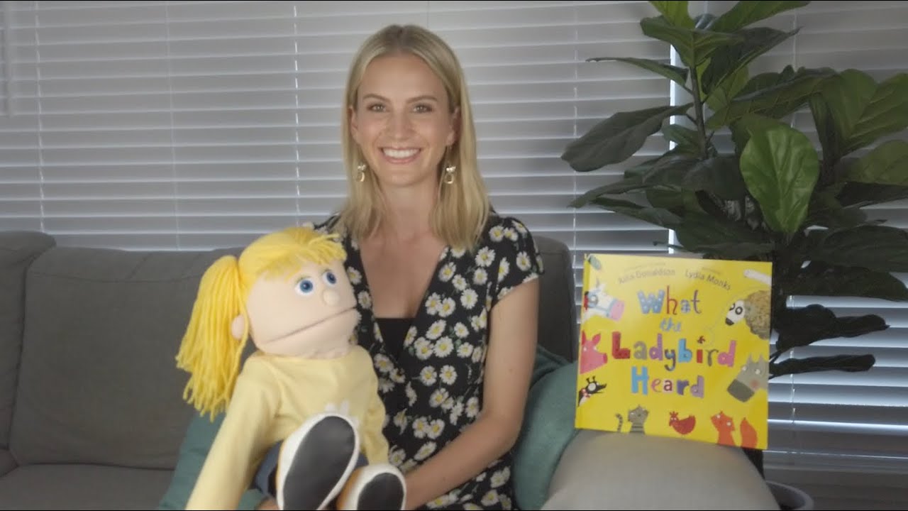 What the Ladybird Heard by Julia Donaldson and Lydia Monks - YouTube