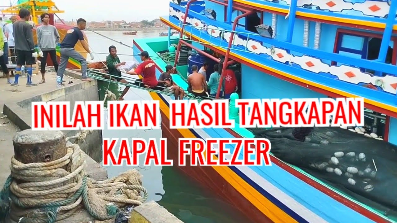 Beginilah kapal freezer saat bongkar ikan - YouTube