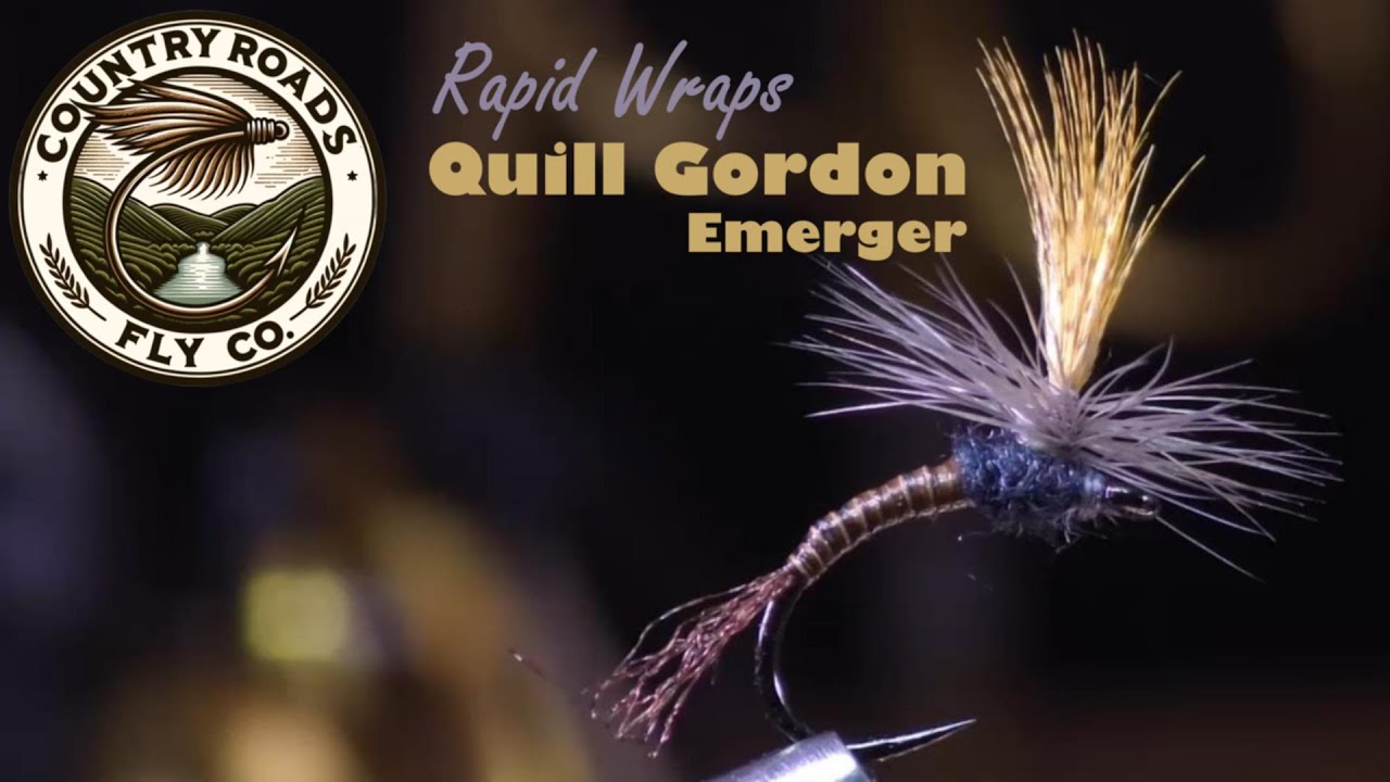 Quill Gordon Emerger in Minutes! - Rapid Wraps Series | Country Roads ...