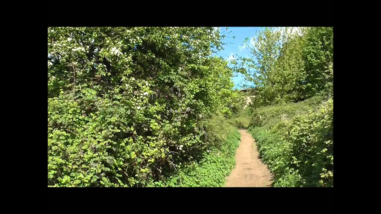 The Riverside Wilderness of Wetherby - YouTube