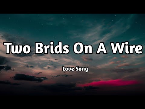 Two Birds On A Wire 🕊️ (Lyrics ) | A Soulful Love Song | Romantic ...