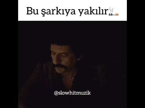 45288412 630172824069586 7554980845283442688 n