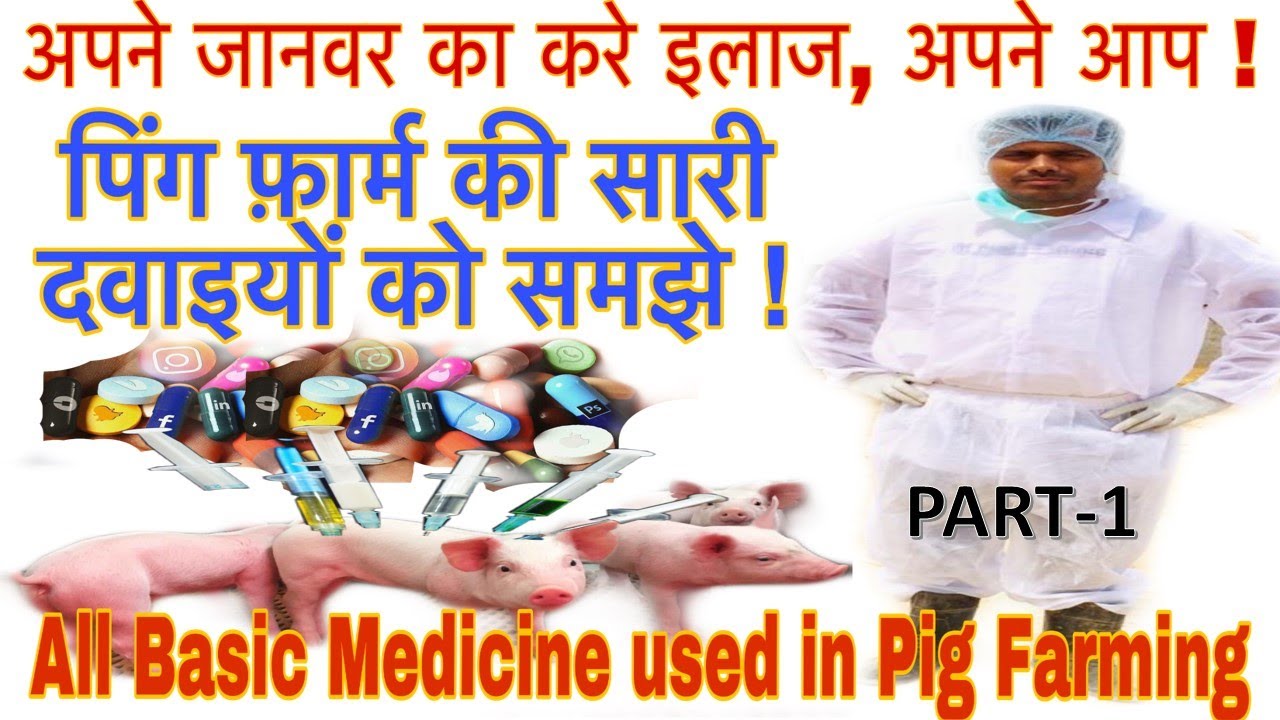 All basic Medicine used in Pig farming * PART-1* पिंग फ़ार्म की सारी ...