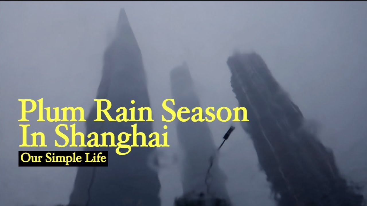 Plum Rain Season in Shanghai : Smash Burgers, HK Diners, Jenga ...