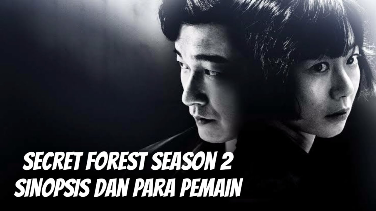 SECRET FOREST SEASON 2 || SINOPSIS DAN PARA PEMAIN - YouTube