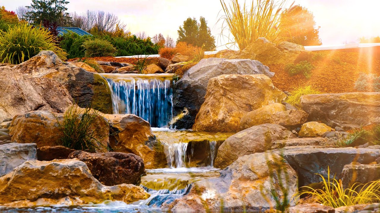 Paradise Pond & Waterfall Build FINISHED : 20 x 29 Pond with Intake Bay ...