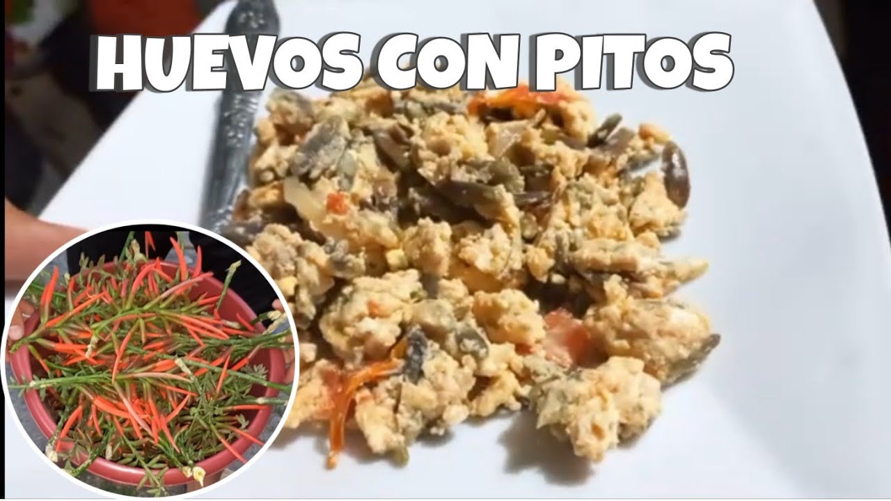 Receta fácil | PITOS CON HUEVO - YouTube