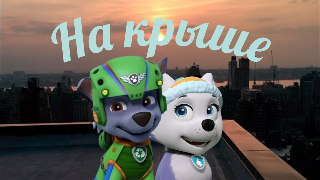||Рокки и Эверест||На крыше|| заказ@Pestria-y7u - YouTube