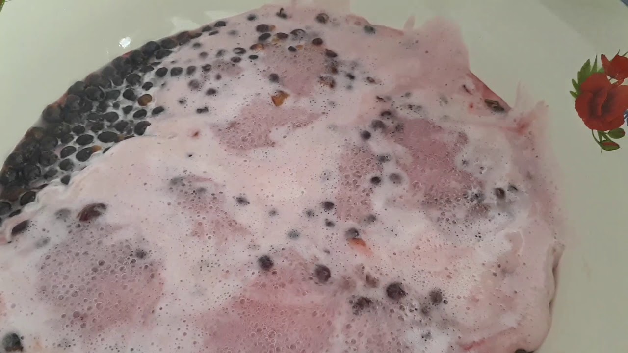 Qara Qarağat Mürebbesinin hazırlanması.(Siyah Frenk üzümü) - YouTube