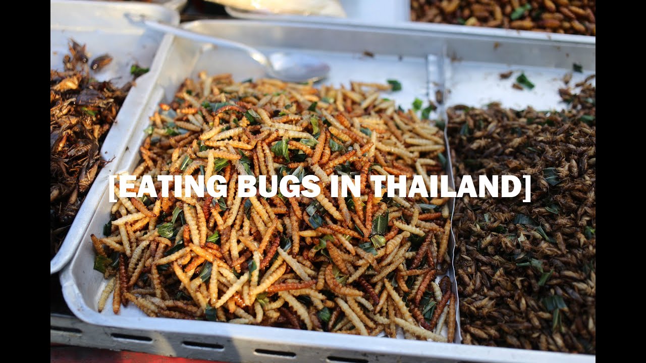 Watch me eat a massive cockroach in Thailand *and 4 other types of bugs ...