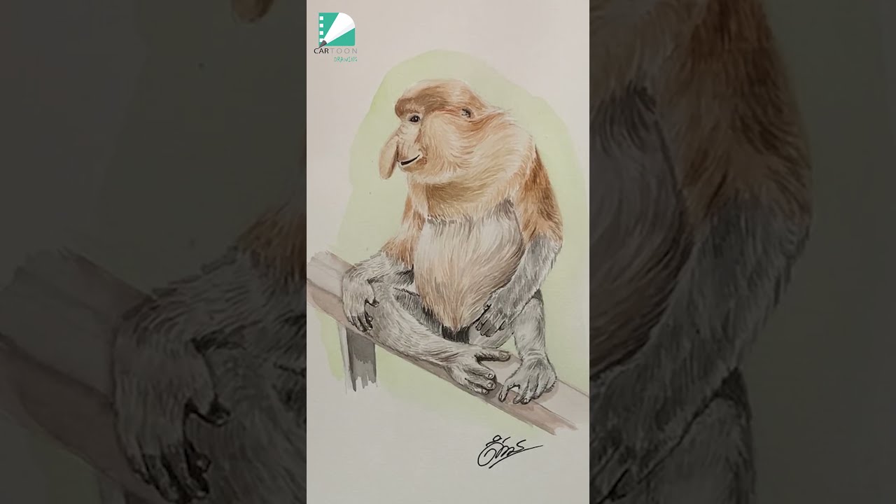 Drawing A Funny Monkey | Proboscis Monkey Drawing #Shorts - YouTube
