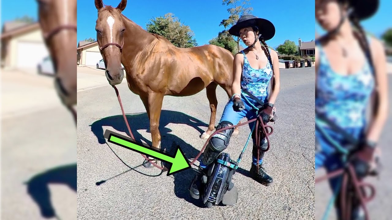 The electric unicycle horse walker - YouTube