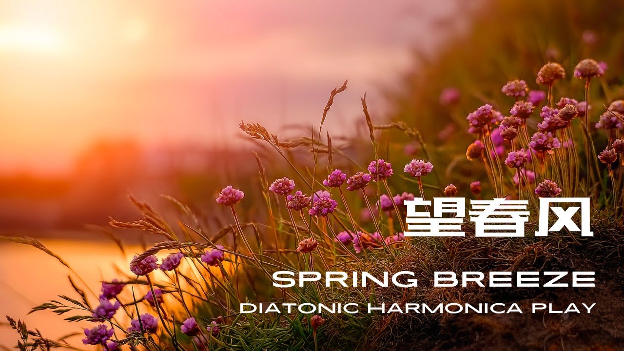 望春风, 망춘풍, Spring Breeze | Diatonic Harmonica Ver. - YouTube