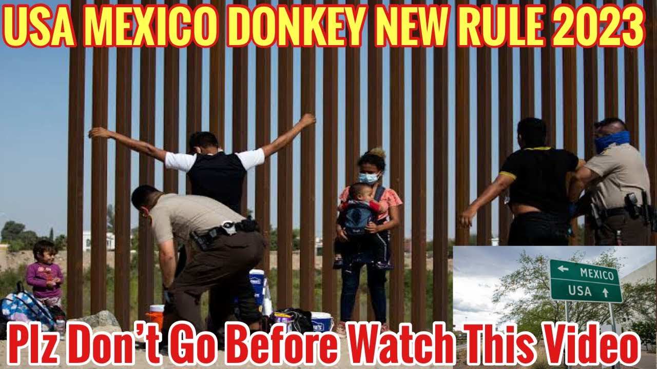 Usa Mexico Donkey | USA Mexico Border Update | India To USA Donkey# ...