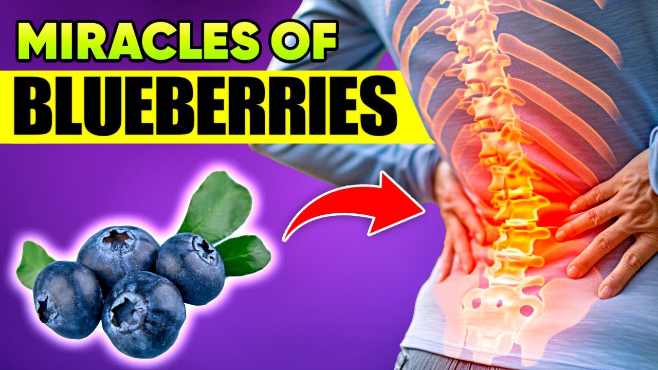 5 AMAZING Benefits of Eating BLUEBERRIES Every Day! - YouTube