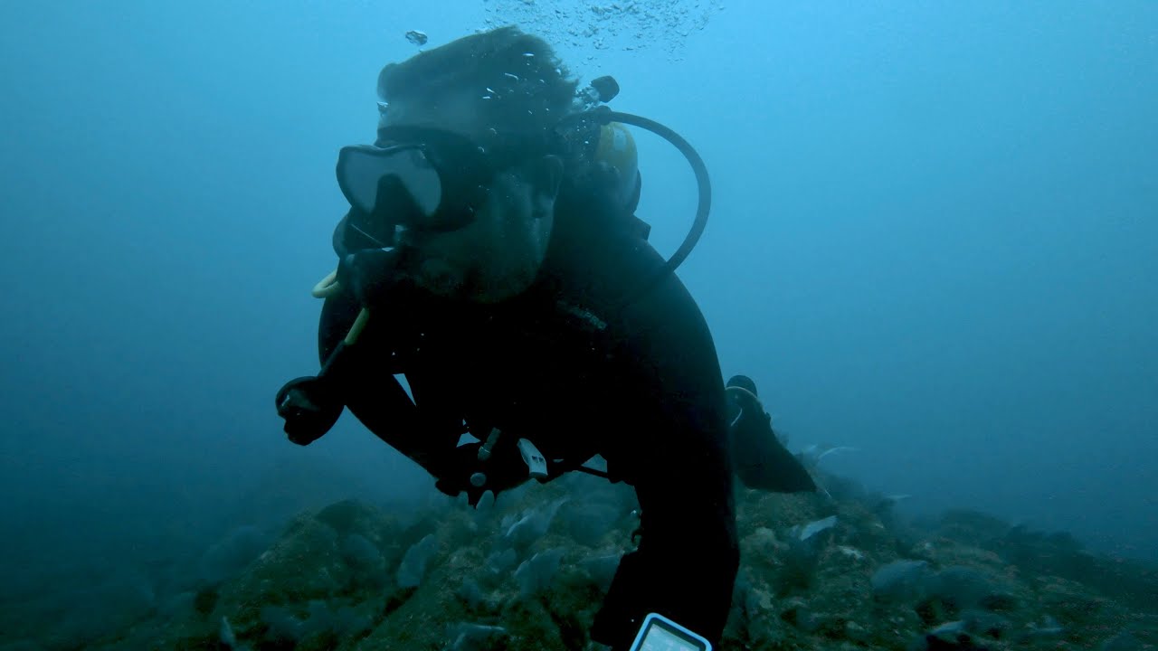 What it’s like: Scuba diving in Cabo San Lucas with Manta Scuba. - YouTube