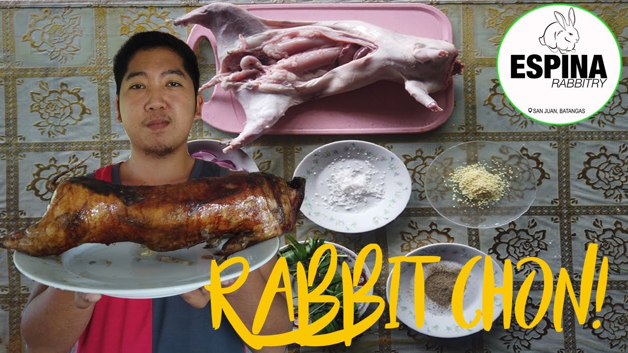 LETCHON RABBIT(Rabbitchon) - YouTube