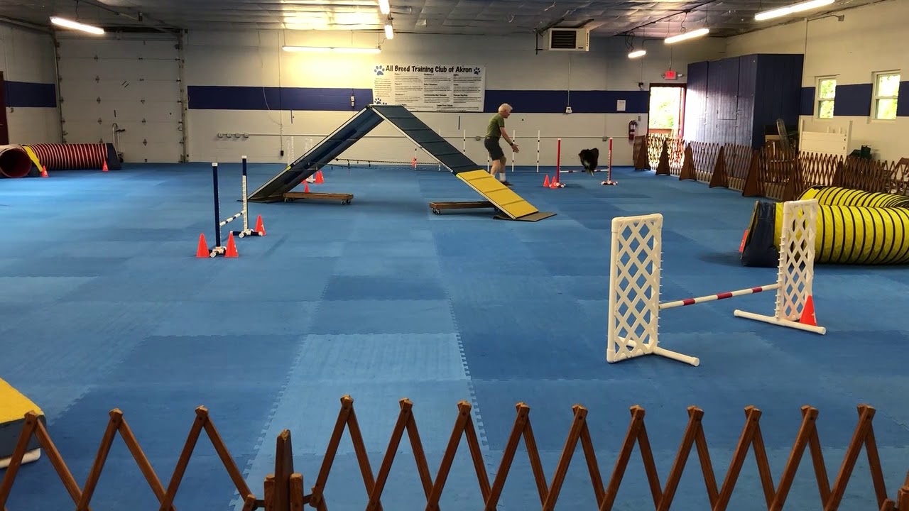 Shelby Game - YouTube