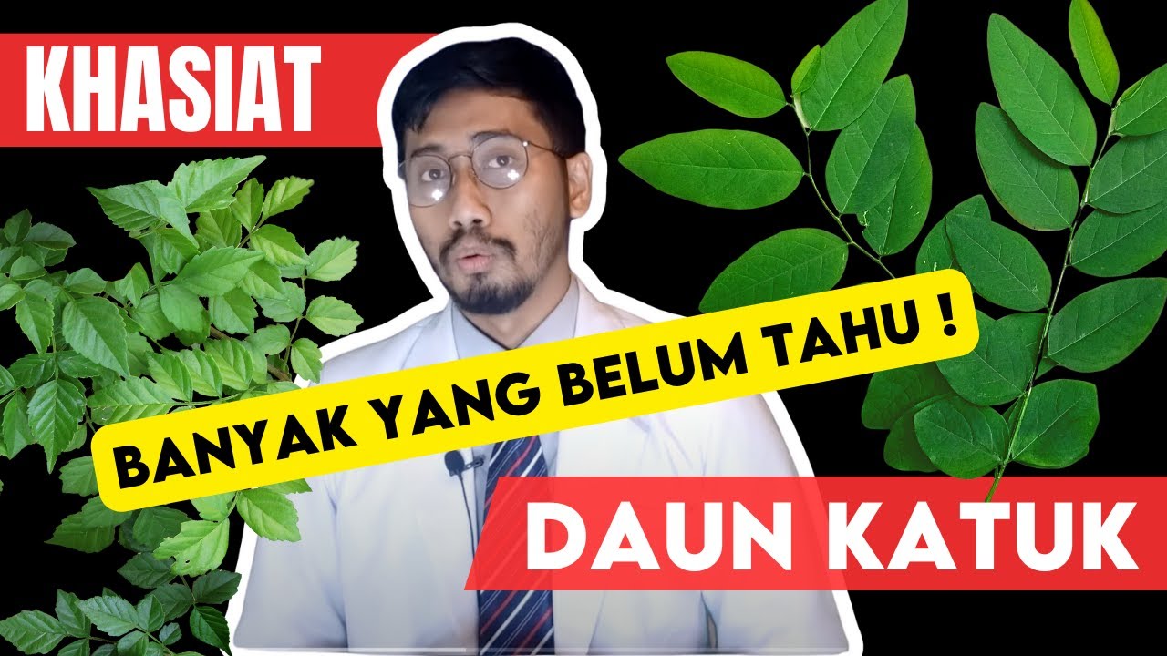 Manfaat Daun Katuk untuk Kesehatan: Meningkatkan ASI dan Lebih Banyak ...