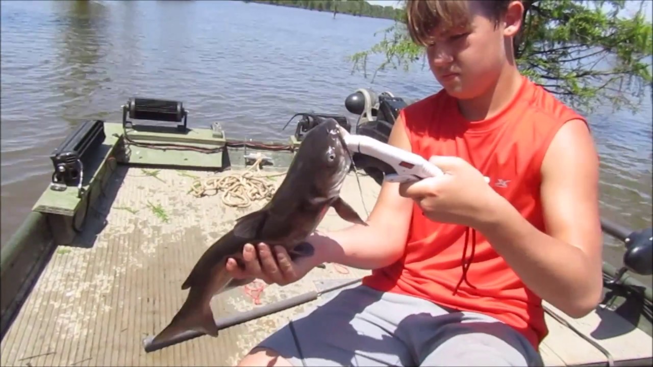 Limb Lining for Bullheads/Fishin the South - YouTube