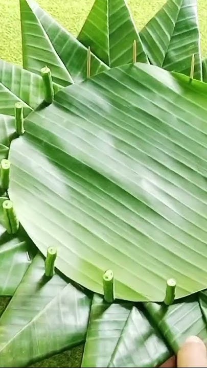 Cara mudah melipat daun pisang untuk membuat tumpeng!! - YouTube