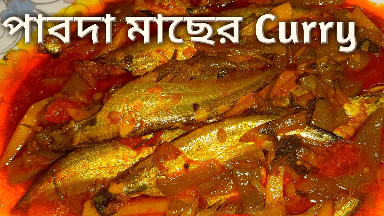 pabda macher jhol recipe @ পাবদা মাছ রান্নার রেসিপি - YouTube