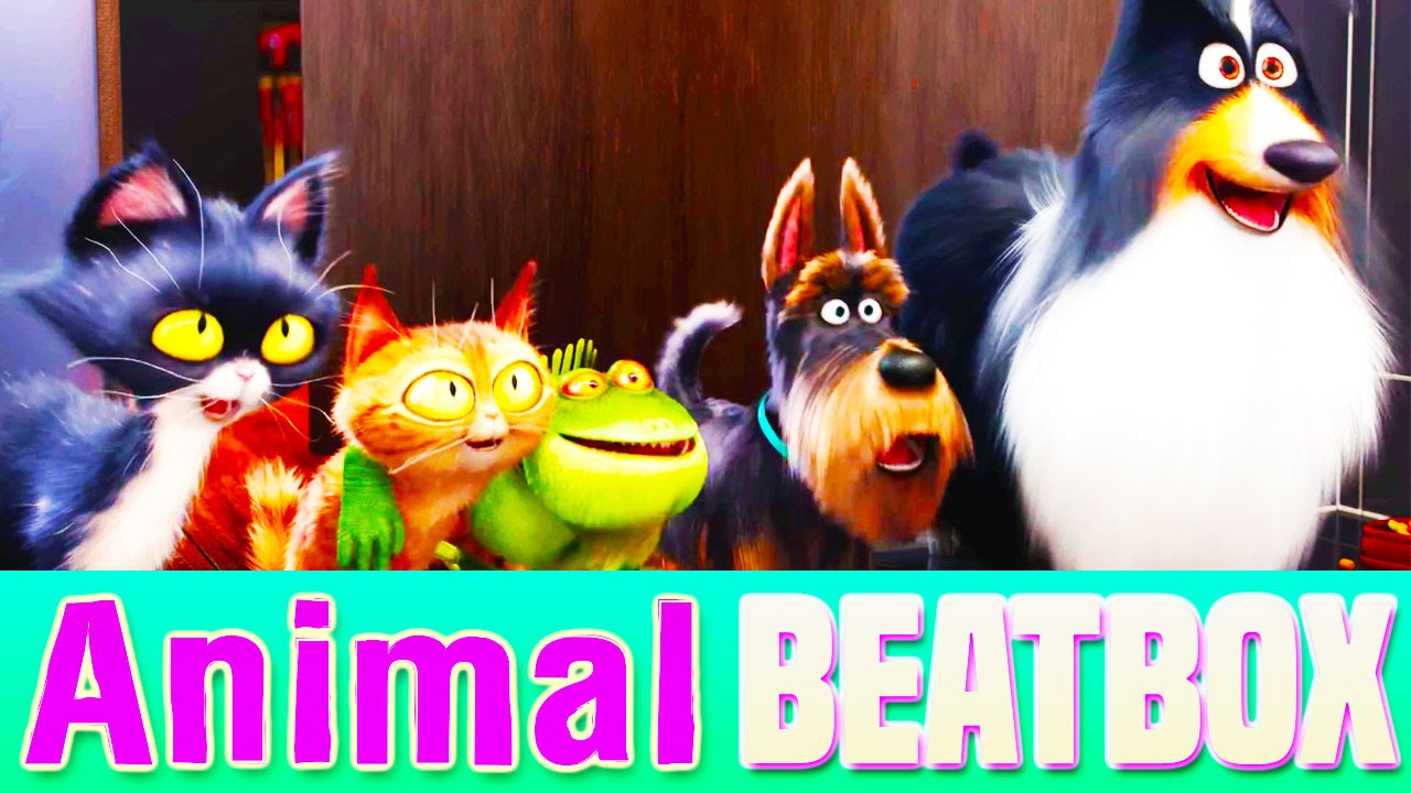 Most Embarrassing Animal Beatbox! - YouTube