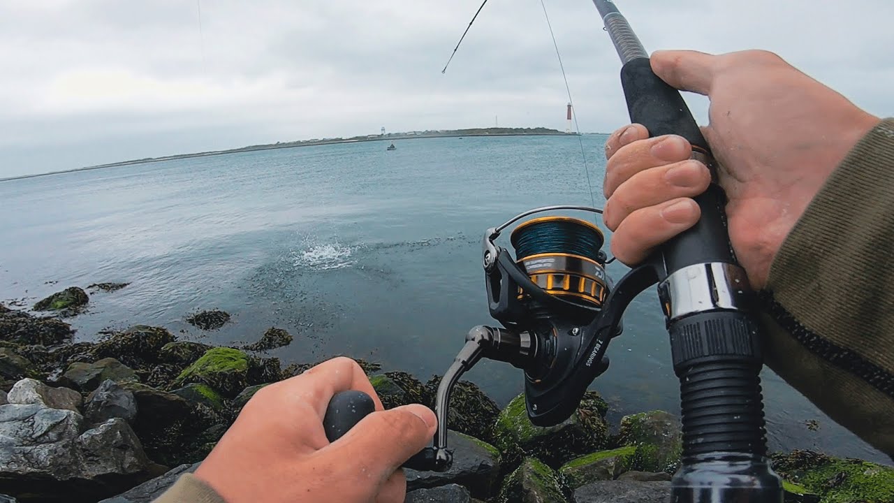 FEROCIOUS BLUE FISH BLITZ (Catch & Cook) | East Coast EP.1 - YouTube
